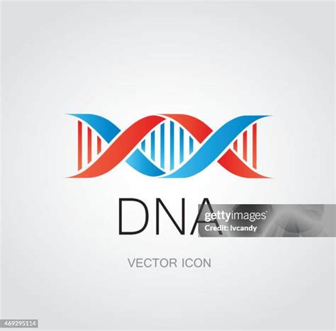2900 Nucleic Acid Icon High Res Illustrations Getty Images
