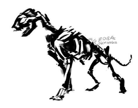 Skeleton Cat By Skxynka On Deviantart