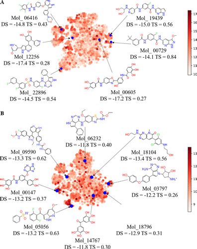Transformer Based Generative Model Accelerating The Development Of Novel Braf Inhibitors Acs Omega