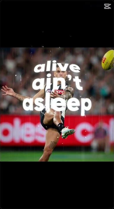 Fein Bobbyhill Youtube