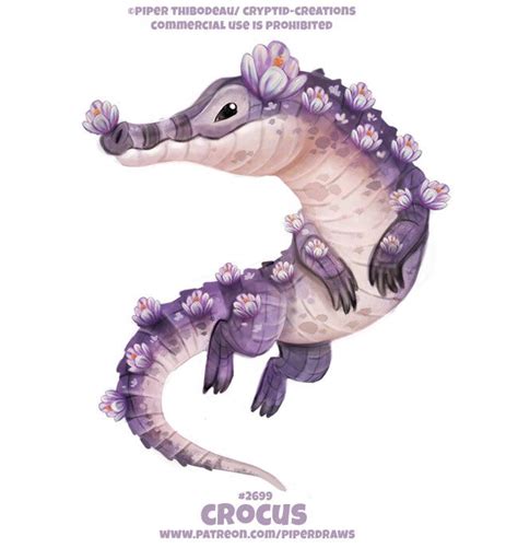 Crocus By Piper Thibodeau Scrolller