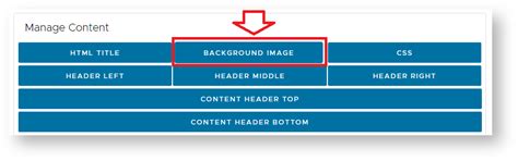 customising the single sign on sso server dualshield mfa platform deepnet security