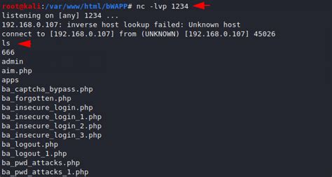 Os Command Injection Types Exploit And Mitigation Secnhack