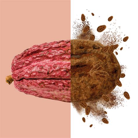 Ruby Visser Chocolade