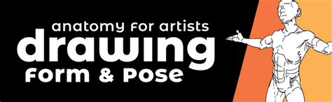 Anatomy For Artists Drawing Form Pose The Ultimate Guide To Drawing Anatomy In Perspective