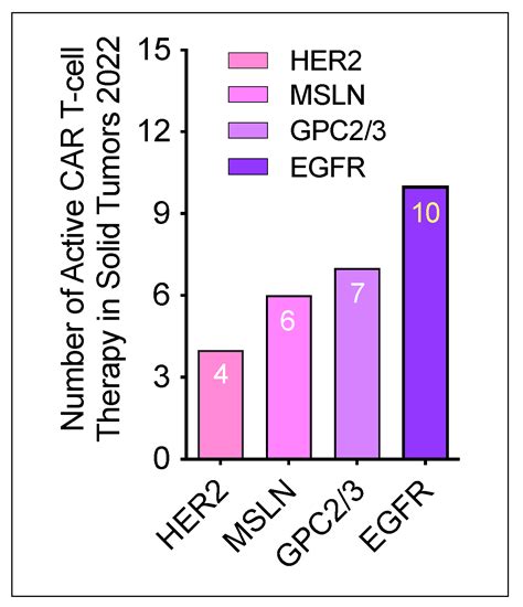Efficacy Safety And Challenges Of Car T Cells In The Treatment Of Solid Tumors
