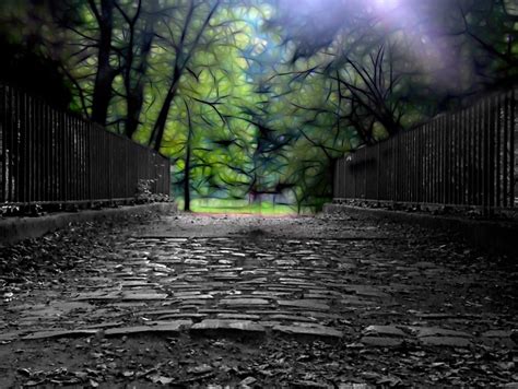 Menjembatani Kayu Alam Foto Gratis Di Pixabay