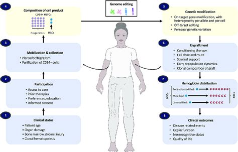 Clinical Heterogeneity In Genome Editing This Figure Illustrates Steps Download Scientific