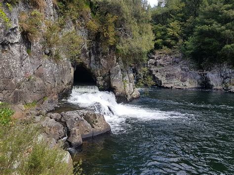 Dickey Flat Campsite Campground Reviews Waikino New Zealand