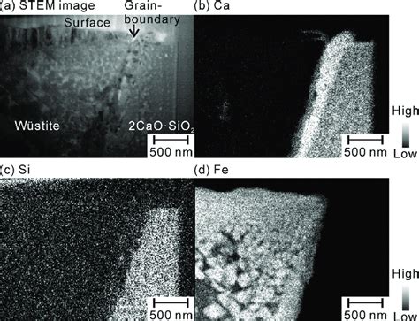 A Stem Bright Field Image And Edx Elemental Mappings Of B Ca C Download Scientific