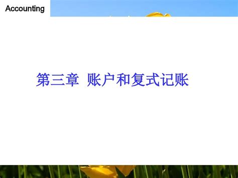 课件 第三章 账户与复式记账 Word文档在线阅读与下载 无忧文档