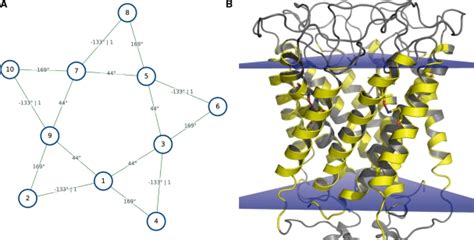 Visualization Of The Mplot Analysis Results Of The Mechanosensitive