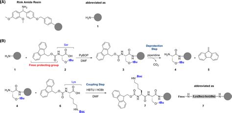 Solid Phase Peptide Synthesis A Structure Of Rink Amide Am Resin