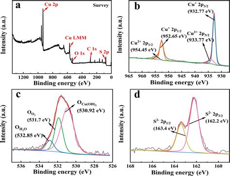 Xps Spectra Of Cu2s Cu Oh 2 Cf A Survey Spectrum B Cu 2p Download Scientific Diagram