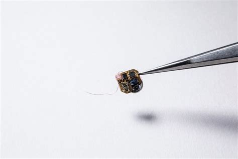 Living Iot Sensor System Rides On Bees Instead Of Drones