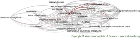 Epidermolytic Acanthoma Disease Malacards Research Articles Drugs