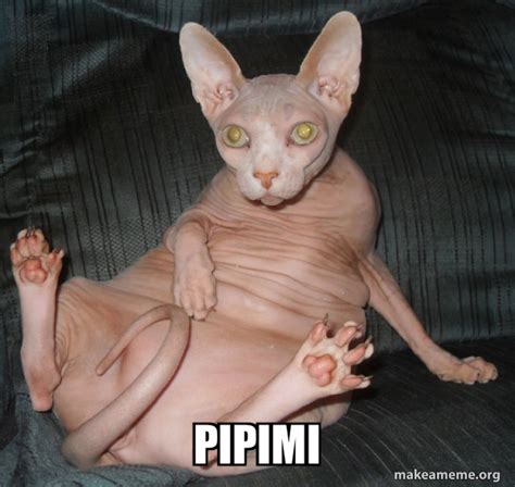 Pipimi Hairless Cat Meme Generator