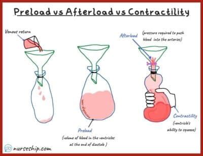 Cardiac Preload Vs Afterload Vs Contractility With An Example Nurseship