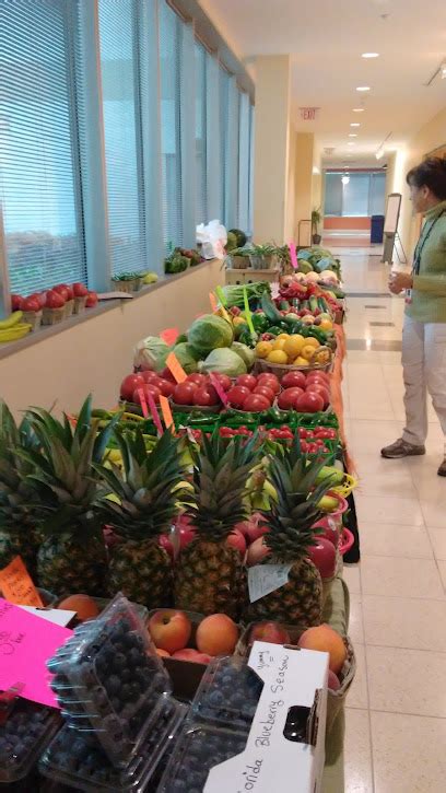 Sunpass Customer Service Center Tampa Corporate Office Tampa