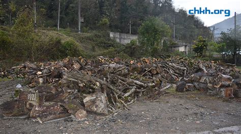 ხარაგაულში სოციალურად დაუცველი უკიდურესად გაჭირვებული ოჯახები 3 კბმ შეშას მიიღებენ