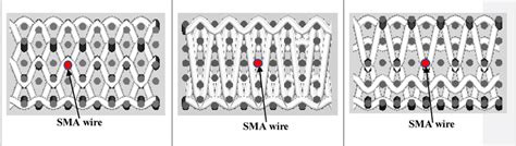 Cross Sectional And 3d Views Of A Multilayer Orthogonal Download Scientific Diagram