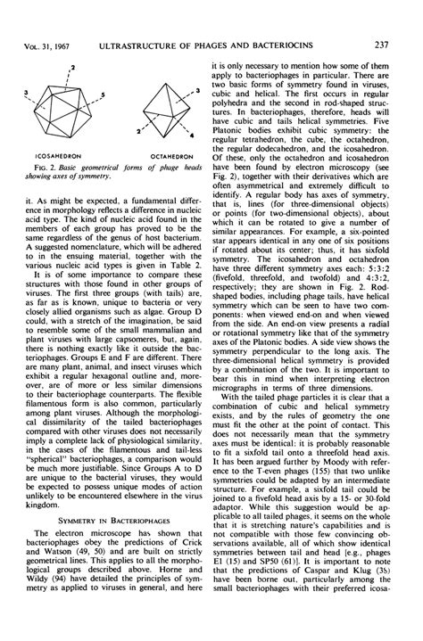 Ultrastructure Of Bacteriophage And Bacteriocins Pmc