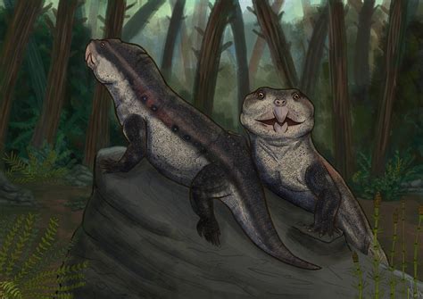 Hyperodapedon Sp By Nahhw On Deviantart