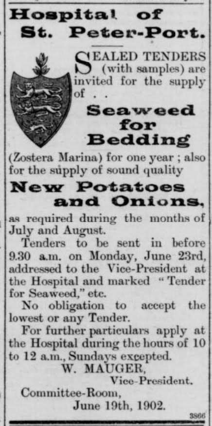 How Sea Grass Was Used