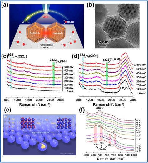 Applications Of In Situ Raman Spectroscopy On Rechargeable Batteries And Hydrogen Energy Systems