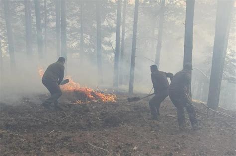 Голям пожар край Сатовча Важно за фермера