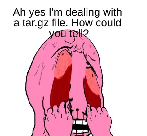 As A Linux Newbie Im Starting To Question My Sanity Now Rlinuxmemes