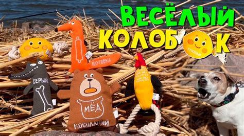 Сказочные ИГРУШКИ ДЛЯ СОБАК Новая коллекция игрушек Русские сказки