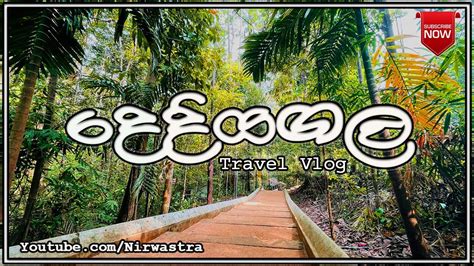 දෙදියගල To Dediyagala A Wonderful And Beautiful Destination In The