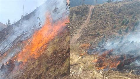Incendio Forestal Consume Más De 120 Hectáreas De Pastos Naturales En