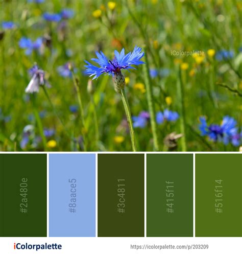 Color Palette Ideas From 3434 Grass Images Icolorpalette Colores