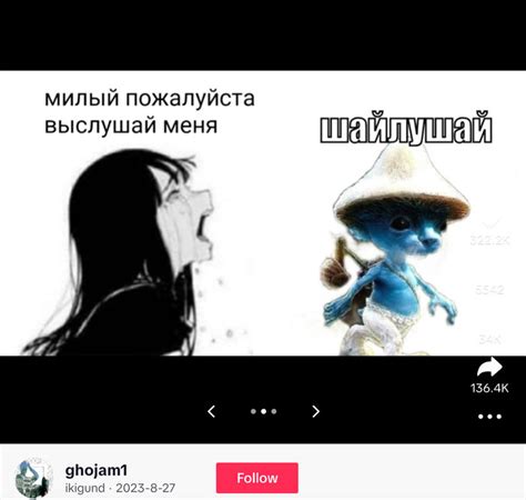 Smurf Cat Why Is Everyone On Tiktok Obsessing Over It Bored Panda