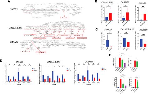 Figure From Integrative Single Cell Transcriptomic Investigation