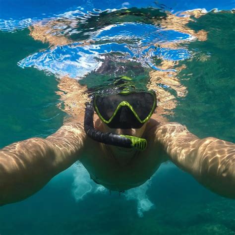 Snorkel A Napaling And Swim With The Panglao Sardines