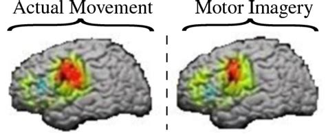 figure 2 1 from decoding eeg brain signals using recurrent neural