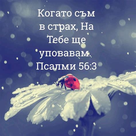 Църква на Адвентисти от Седмия Ден Разград Home Facebook