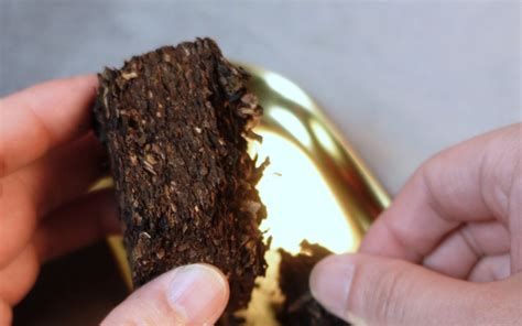 又是重口味的一天 点火日记 点火日记 哔哩哔哩视频