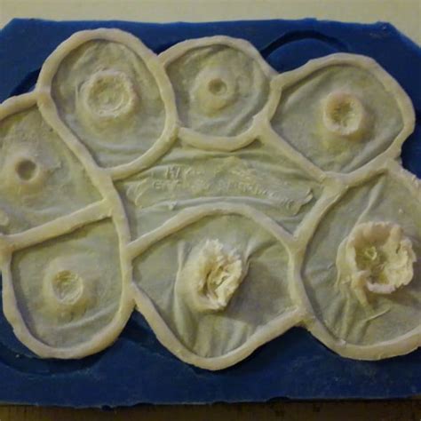 Bullet Wound Makeup Etsy