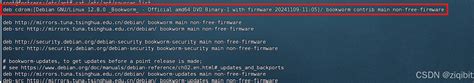 debian11 debian12 安装图解 服务器 桌面 debian安装教程 csdn博客