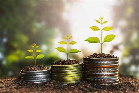 Um Fundo Para Financiar O Comum Lab Procomum