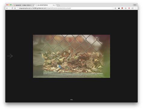 Javascript Fullscreen Expands Document Not Element Itself — Why