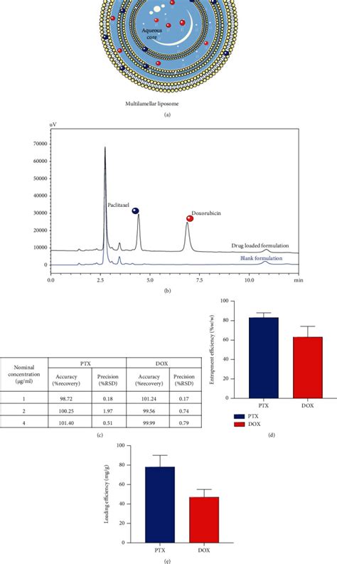 Validated Hplc Uv Method For Simultaneous Estimation Of Paclitaxel And Doxorubicin Employing Ion