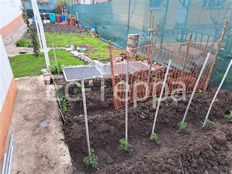 Къща обзаведена с Лозен Едноетажна къща 40 кв м Обзаведена Къщи под наем Лозен Ремонт