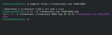 2 ways to capture website screenshots from the command line on linux