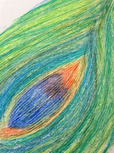 Peacock With Oil Pastels Oil Pastel Pastel Oils
