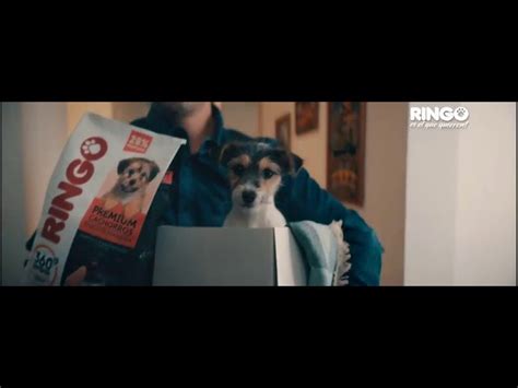 Descubre Las Mejores Opciones De Comida Para Perros Ringo Y Mantén A Tu